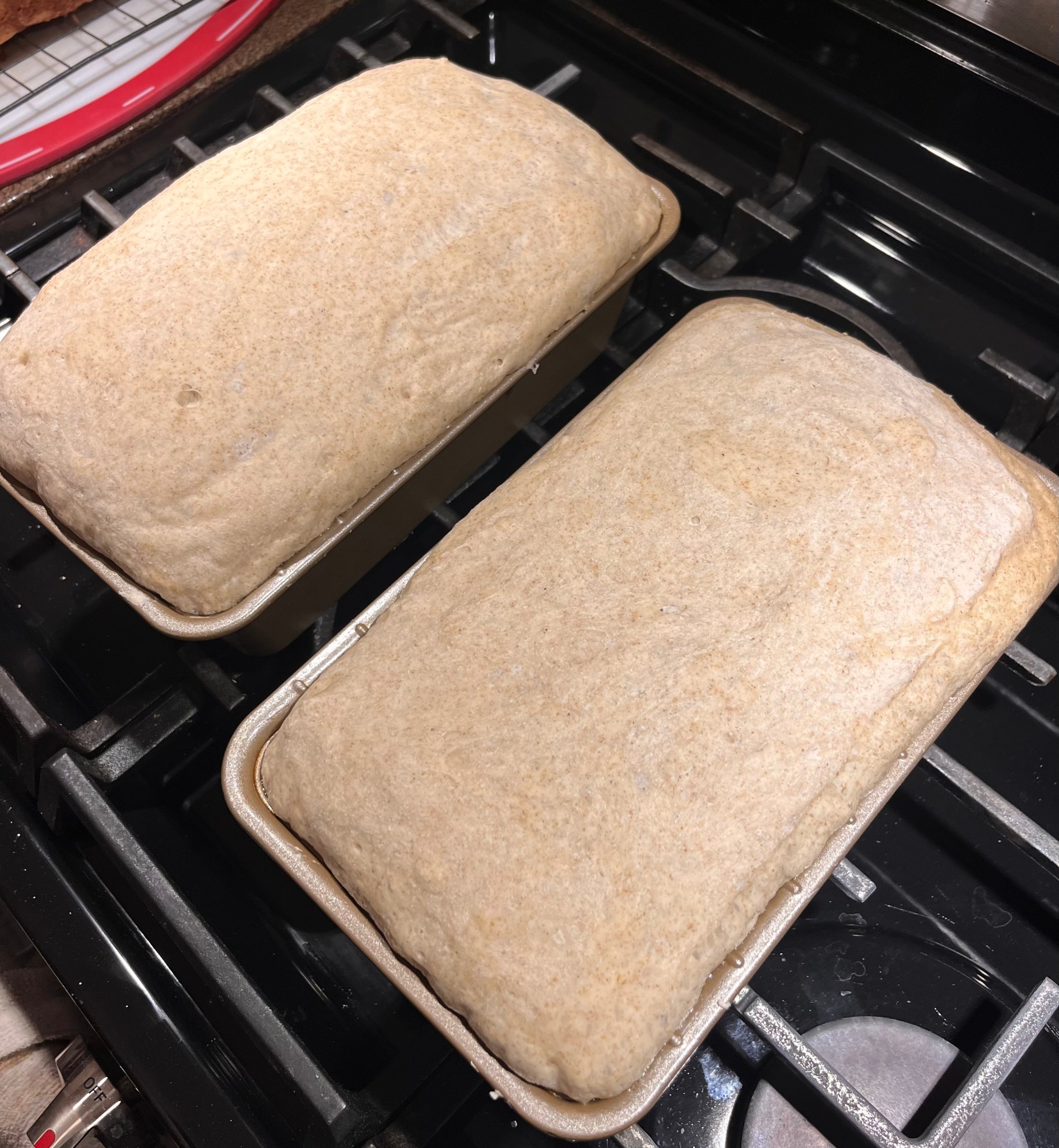 Easy Homemade Light Rye Bread – Sandy’s Kitchen